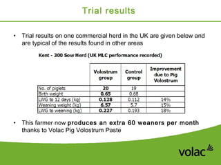 The importance of colostrum and early piglet nutrition | PPT