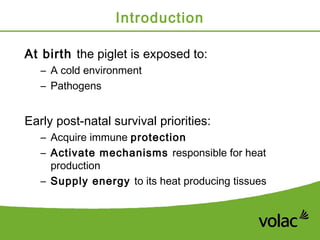 The importance of colostrum and early piglet nutrition | PPT