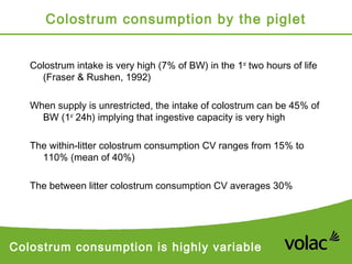 The importance of colostrum and early piglet nutrition | PPT