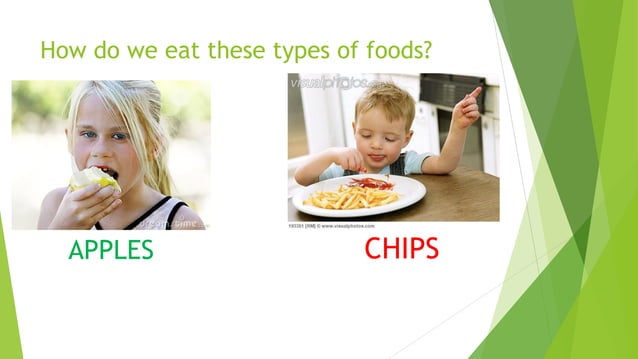 Science 1: Unit 4: food | PPT