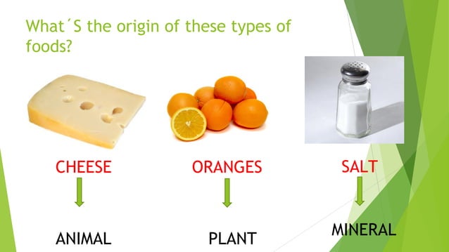 Science 1: Unit 4: food | PPT