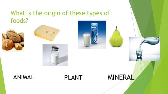 Science 1: Unit 4: food