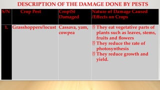 Description of damage done by pests to crops | PPTX