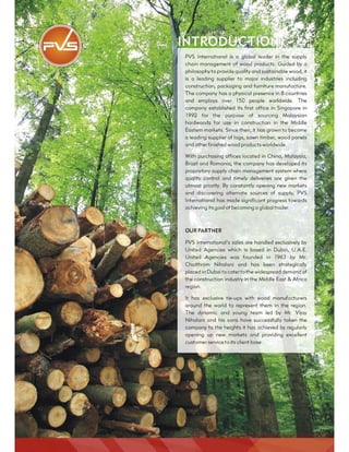 Pvs brochure 1 | PDF