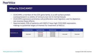 Catching Up on CEACAM5 in NSCLC: The Whys and Hows of Detection and ...