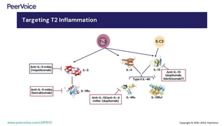 Approaching Airway Inflammation From Another Angle: The Rationale for ...