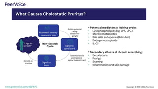 Incorporating the Investigation of Itch Into the Patient Care Process ...