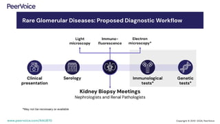 The Central Role of Renal Pathology in the Differential Diagnosis of ...