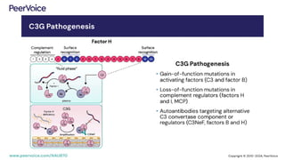 The Central Role of Renal Pathology in the Differential Diagnosis of ...