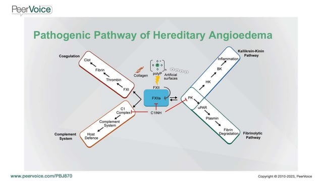 Androgen Risk Reduction in Hereditary Angioedema: Why and How to Switch to Targeted Prophylactic ...