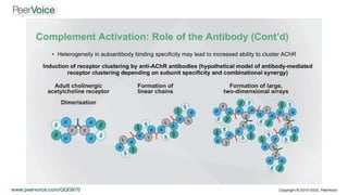 Complement-Mediated Attack of the Neuromuscular Junction in gMG: The C5 ...