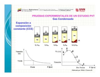 PVT Gas | PDF
