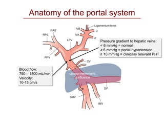 Portal vein thrombosis: scenarios and principles of treatment | PPTX