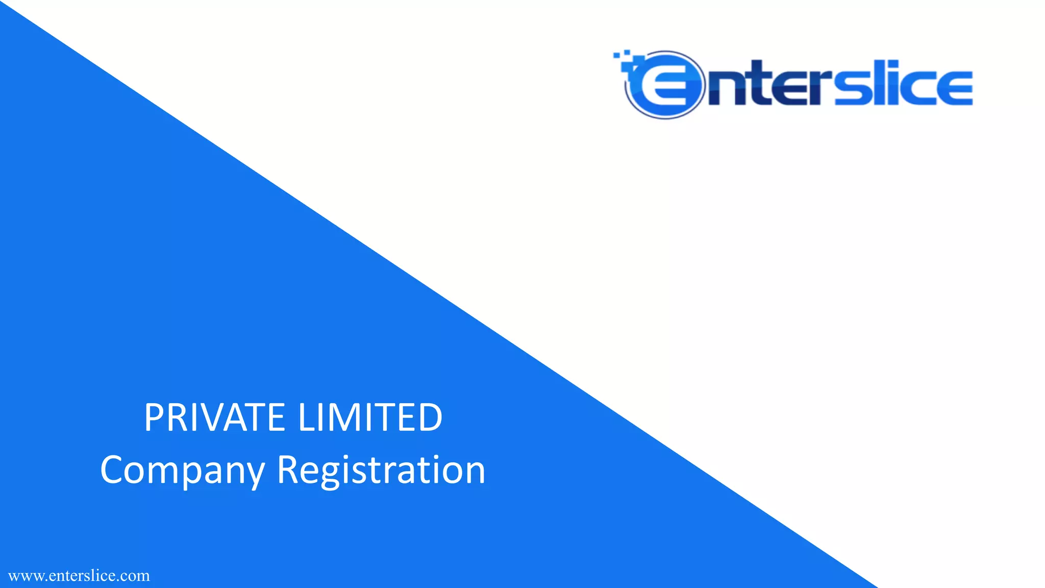 Private Limited Company | PDF