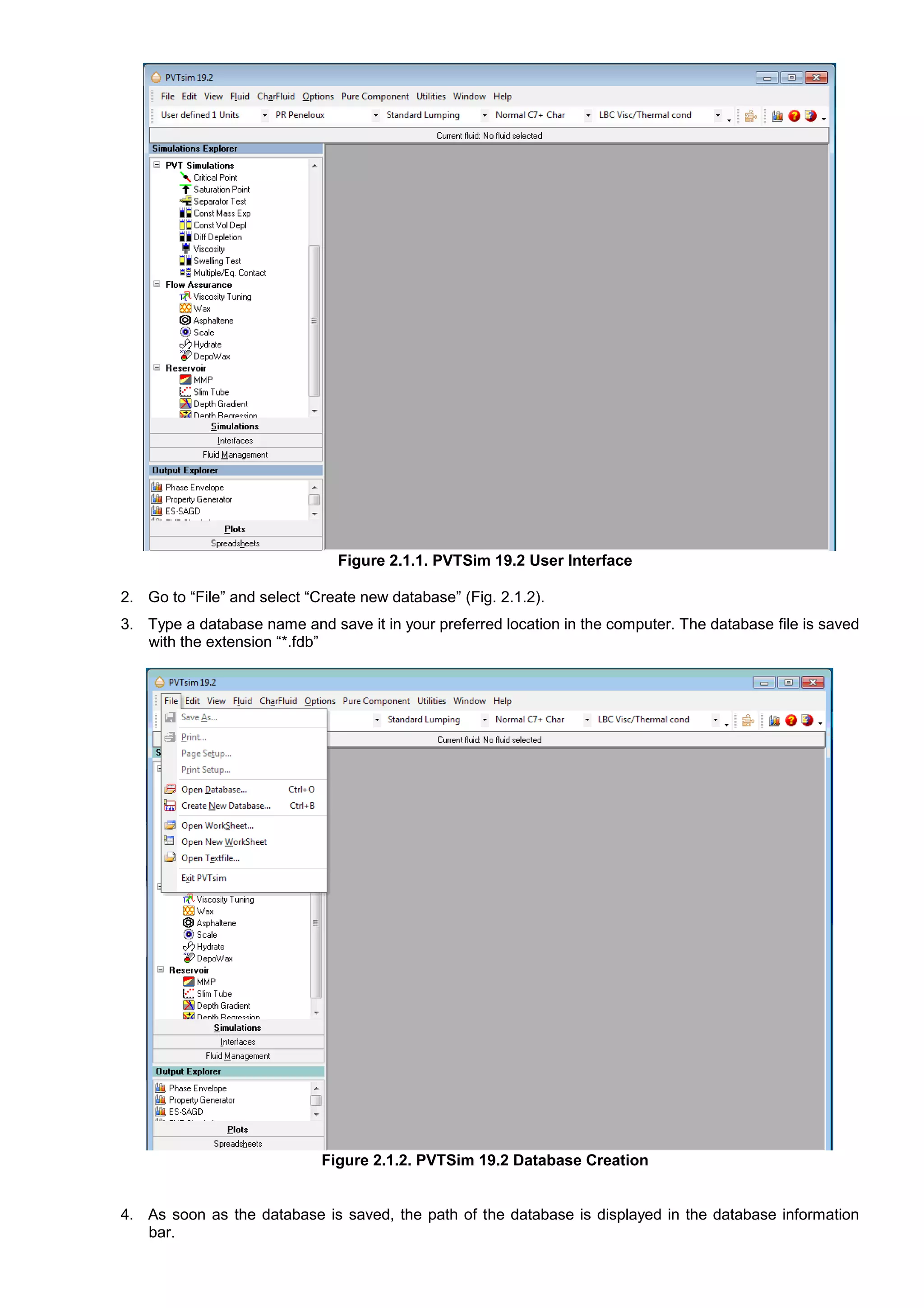 PVTSim - Beginners Guide & Tutorial (Multi-Phase Calculations) | PDF