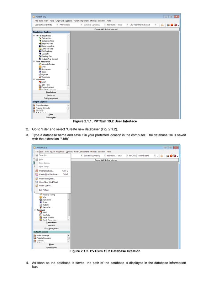 PVTSim - Beginners Guide & Tutorial (Multi-Phase Calculations) | PDF ...