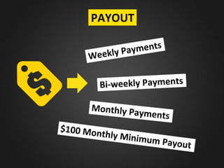 Paymentwall Overview V8 | PDF | Credit Cards | Personal Debt