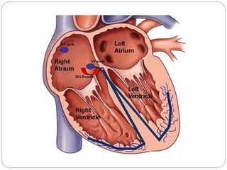P wave (ECG) - Dr. Akif Baig | PPTX