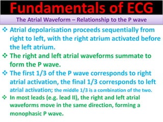 P wave abnormalities in ECG | PPSX