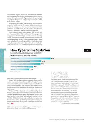 PwC Survey 2010 CIO Reprint | PDF