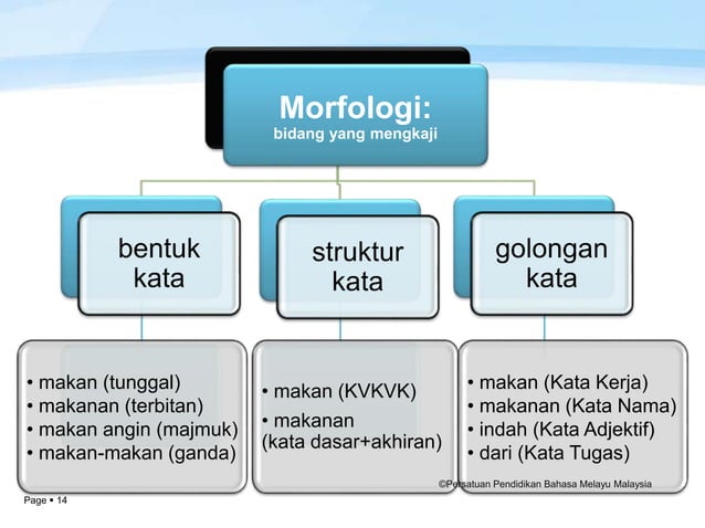 MPM_MORFOLOGI_BM_cd.pptx