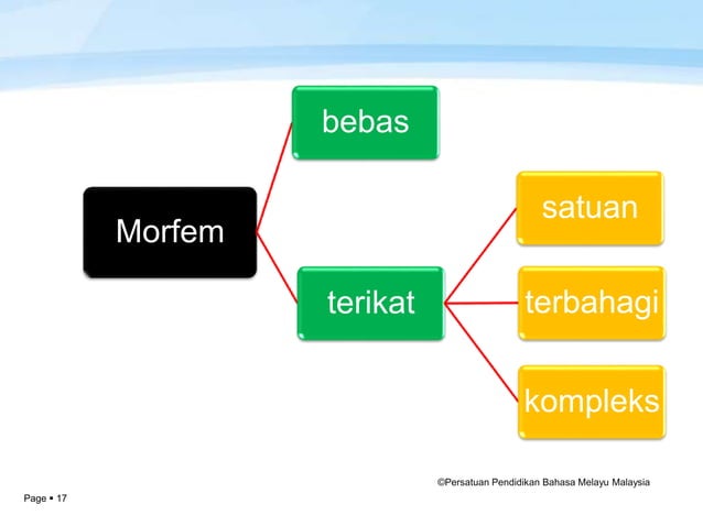 MPM_MORFOLOGI_BM_cd.pptx