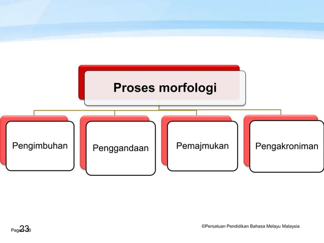 MPM_MORFOLOGI_BM_cd.pptx