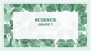 Powerpoint for Grade Seven Science Second Quarter | PPTX