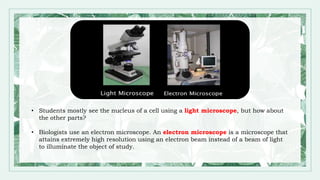 Powerpoint for Grade Seven Science Second Quarter | PPTX