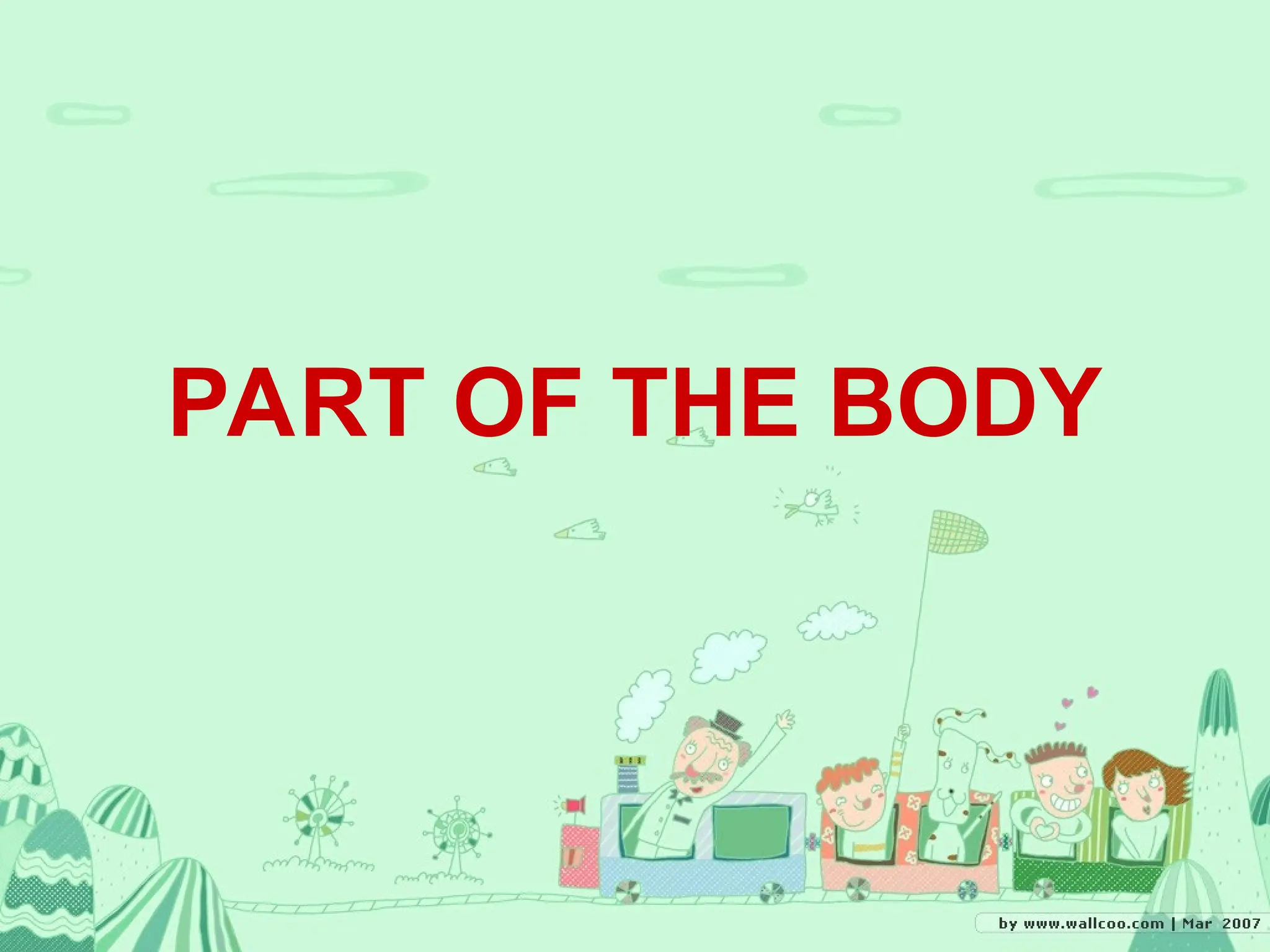 PW part of the body for describing physical appearance | PPT