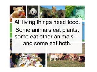 PW_Photosynthesis_presentation.pdf