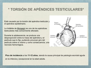 (2017-01-24) "Doctor, tengo dolor en mis partes."(PPT) | PPT