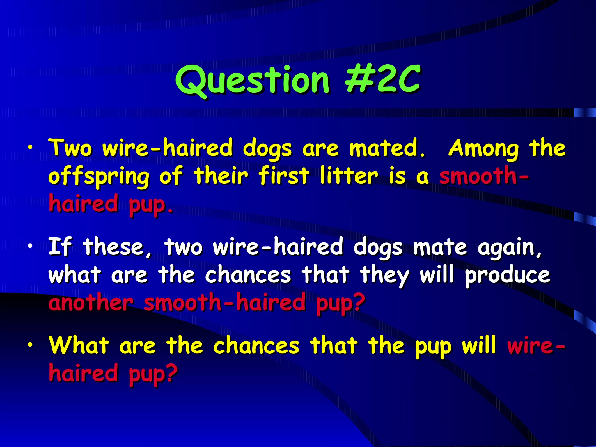 Ppt genetics problems | PPT