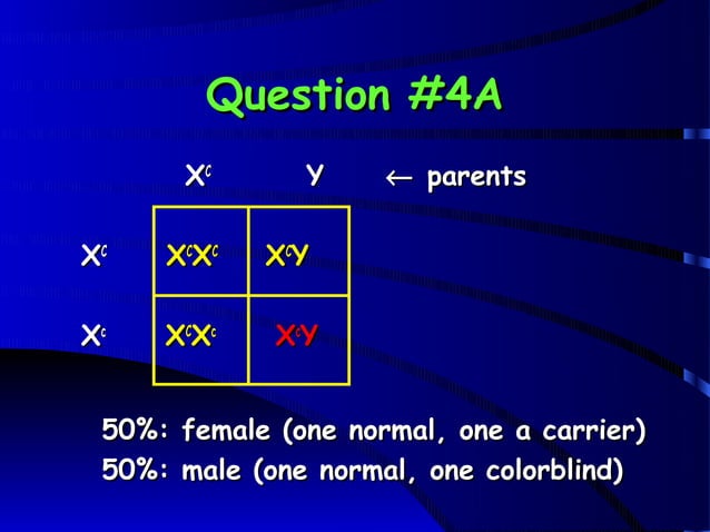 Ppt genetics problems | PPT | Dogs | Pets