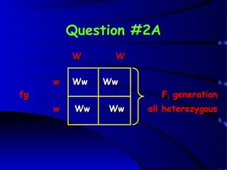 Ppt genetics problems | PPT