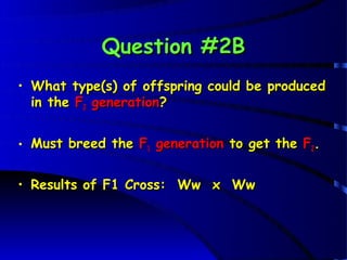 Ppt genetics problems | PPT