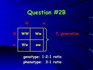 Ppt genetics problems | PPT