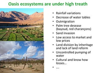 Maghreb advocacy strategy for the oases conservation | PPT