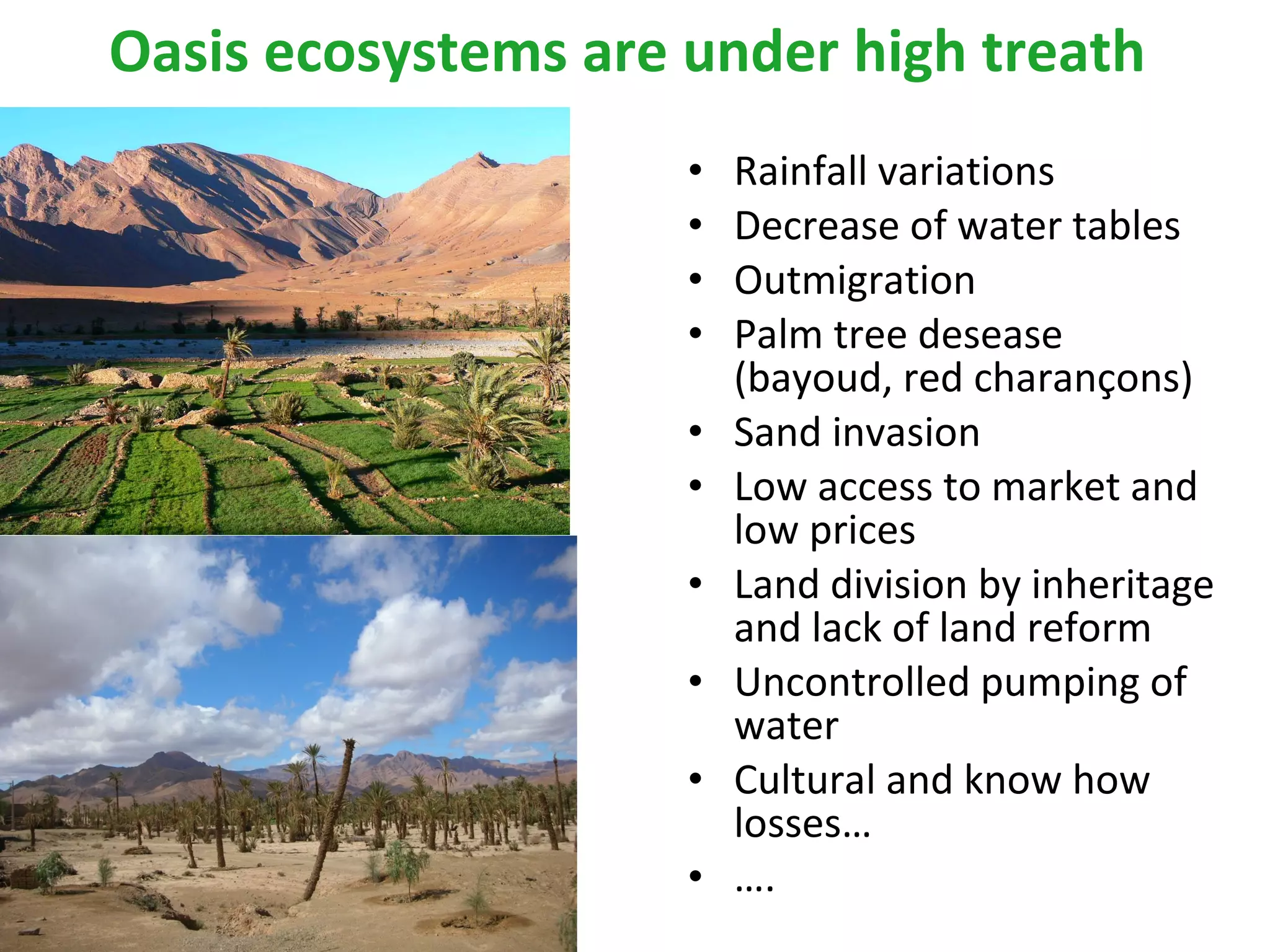 NENA oases overview : a strategic role for a fragile ecosystem | PPT