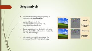 Steganography | PPT