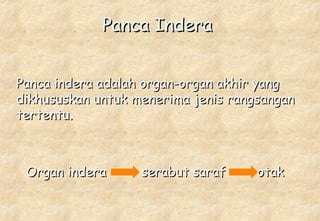 Pwr poit panca indera | PPT