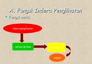 Pwr poit panca indera | PPT