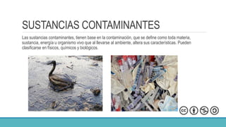 Materia y energía en el ecosistema; El gran repaso; resumen unidad | PPTX