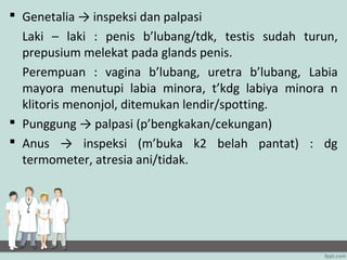 PEMERIKSAAN FISIK | PPT