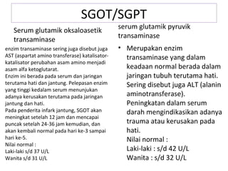 Pemeriksaan Jantung Pada Anak | PPT