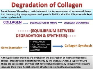 ORAL SUB MUCOUS FIBROSIS(OSMF) | PPT