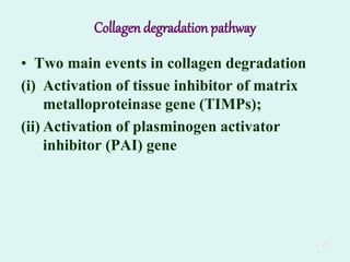 ORAL SUB MUCOUS FIBROSIS(OSMF) | PPT