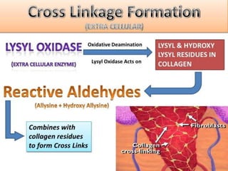 ORAL SUB MUCOUS FIBROSIS(OSMF) | PPT