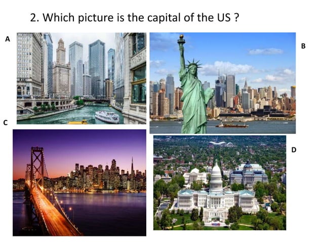 American government | PPT