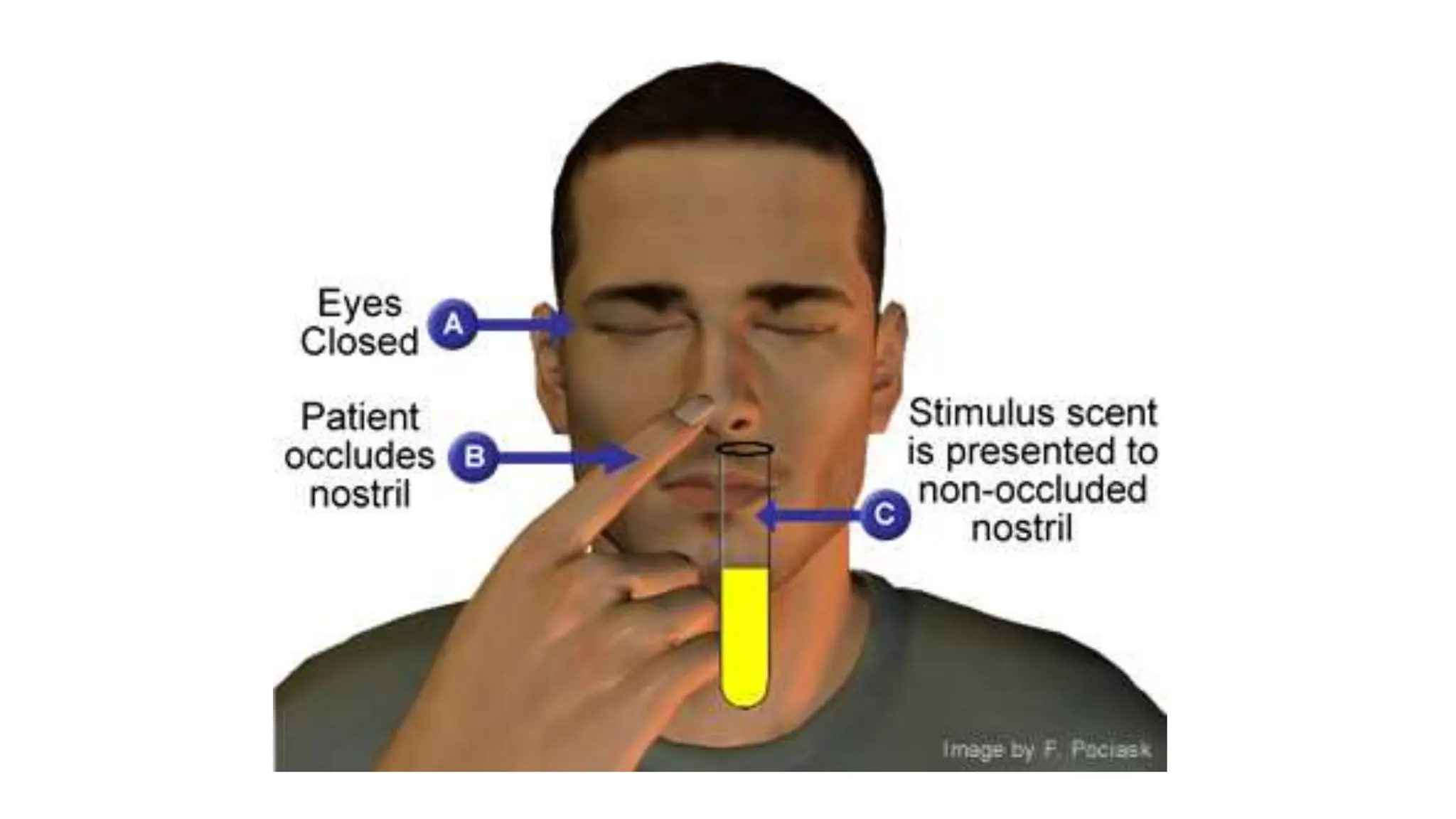 Demonstrate testing for smell and taste mbbs | PPTX